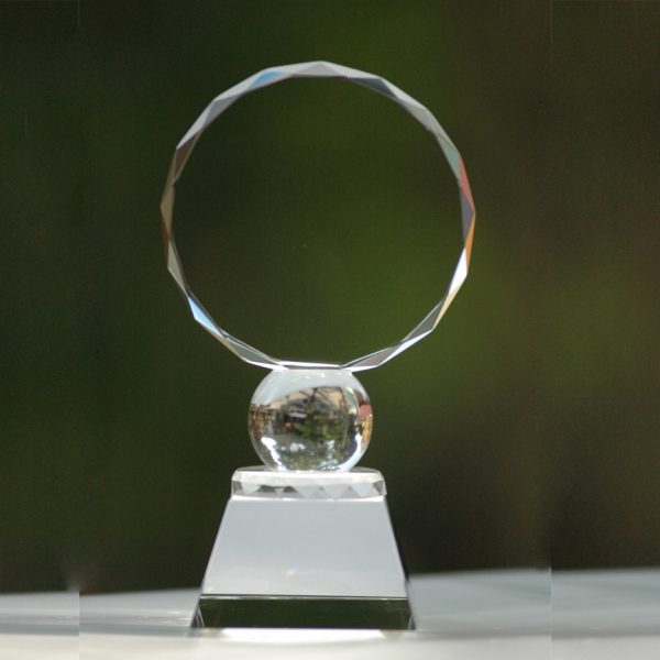 Cúp Phale 14 – Quà tăng Hoàng Long